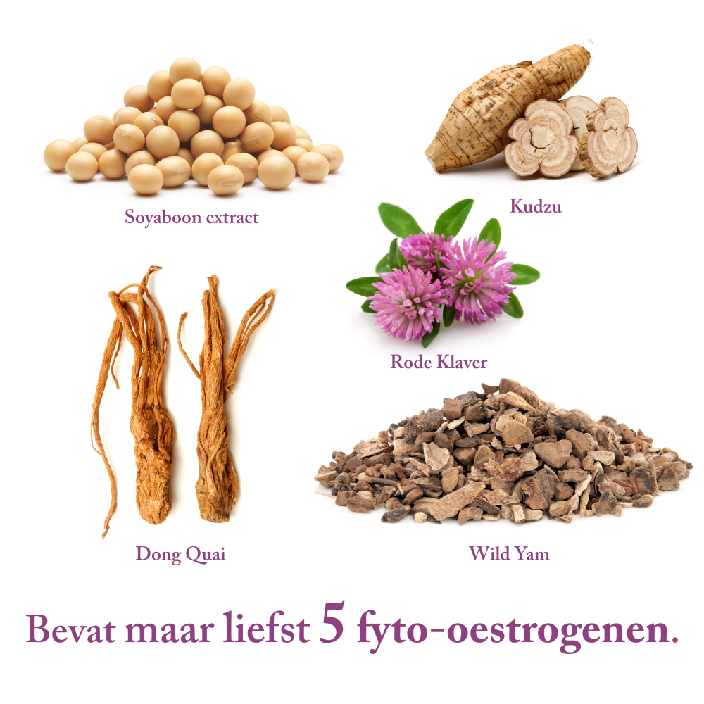 Femeno 1 | natuurlijke ondersteuning tijdens de menopauze